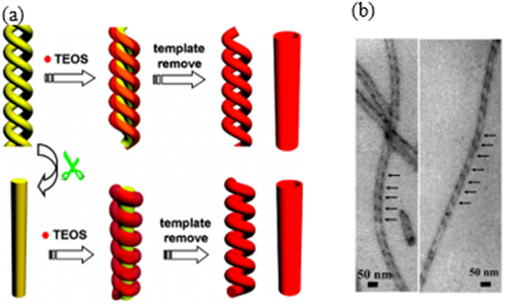 Nanoscale self-assembly: concepts, applications and challenges - IOPscience