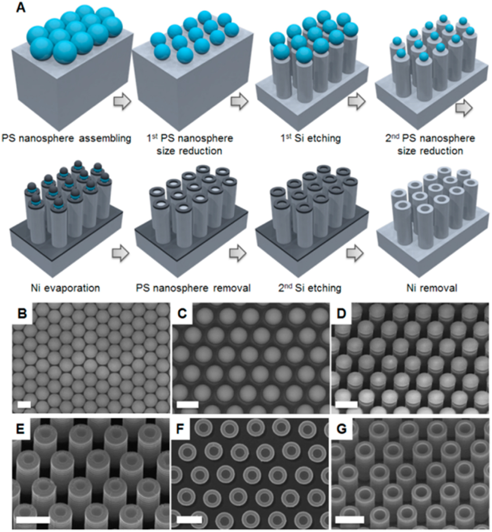 Nanoscale self-assembly: concepts, applications and challenges - IOPscience