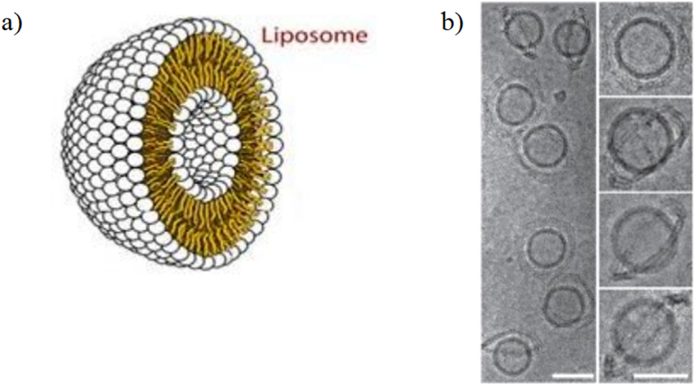 Nanoscale self-assembly: concepts, applications and challenges - IOPscience