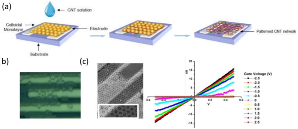 Nanoscale self-assembly: concepts, applications and challenges - IOPscience