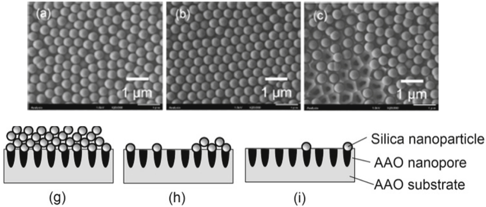 Nanoscale self-assembly: concepts, applications and challenges - IOPscience