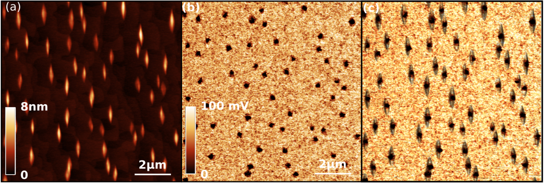 Imaging the electrostatic landscape of unstrained self-assemble GaAs ...