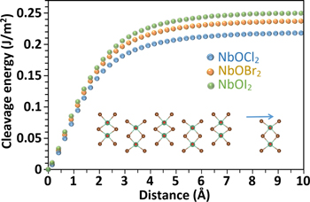 Highly anisotropic mechanical and optical properties of 2D NbOX2 (X ...