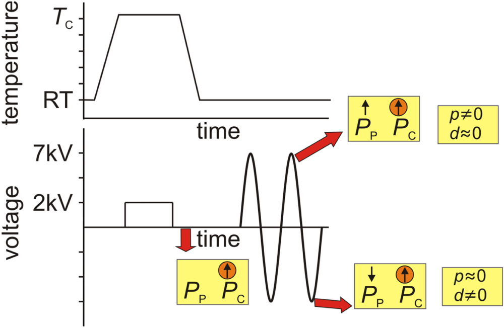 Flexible microstructured pressure sensors: design, fabrication and ...