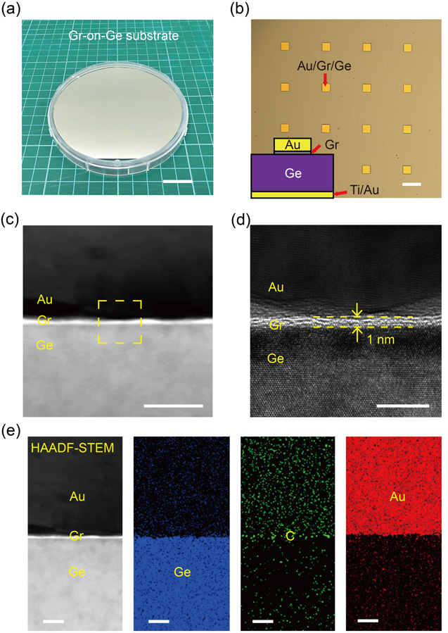 High-performance gold/graphene/germanium photodetector based on a ...