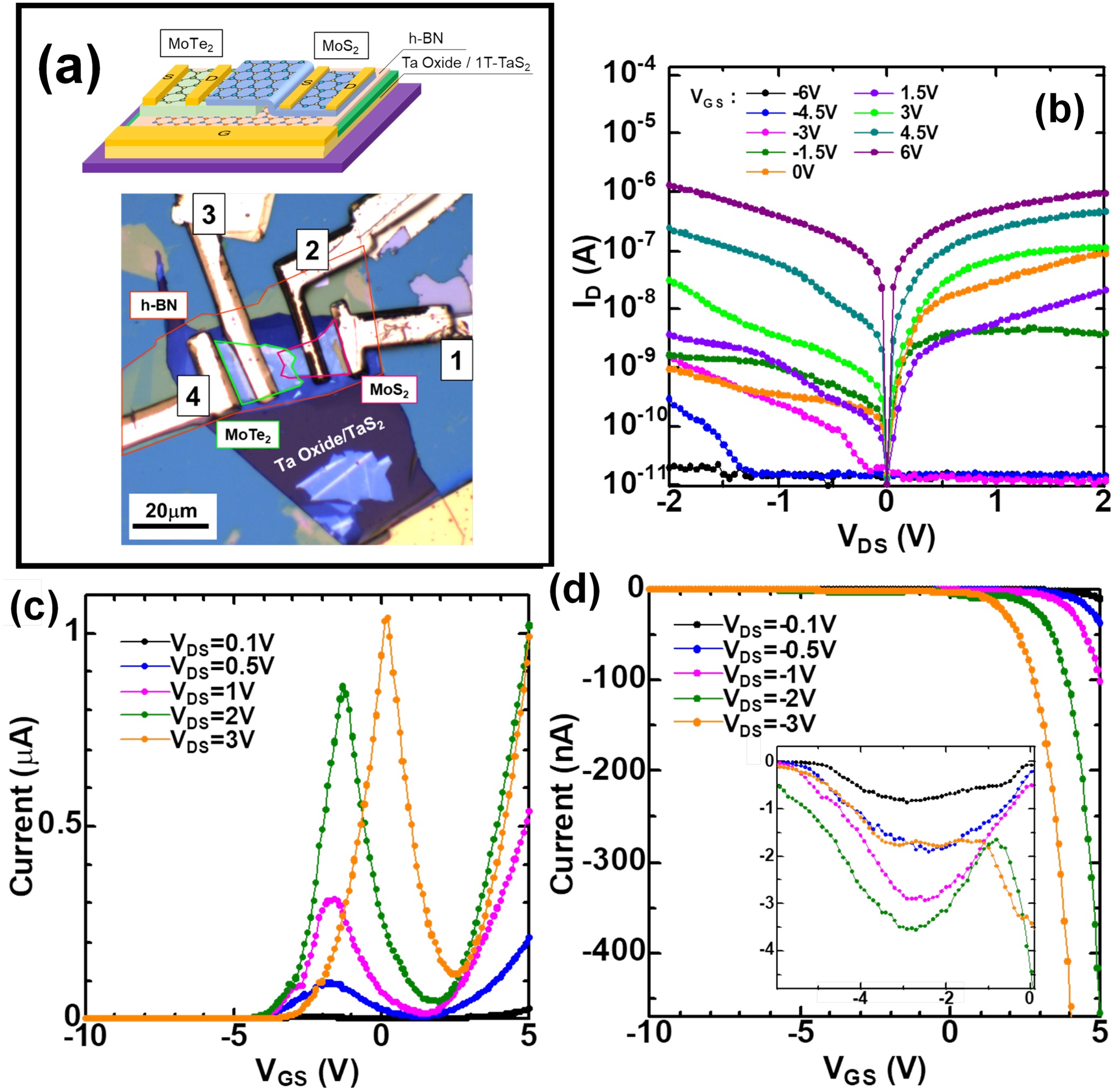 Oxidation of tantalum disulfide (TaS2) films for gate dielectric and ...