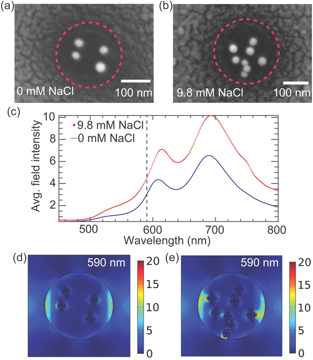 Controlled assembly of gold nanoparticles in resonant gold ...