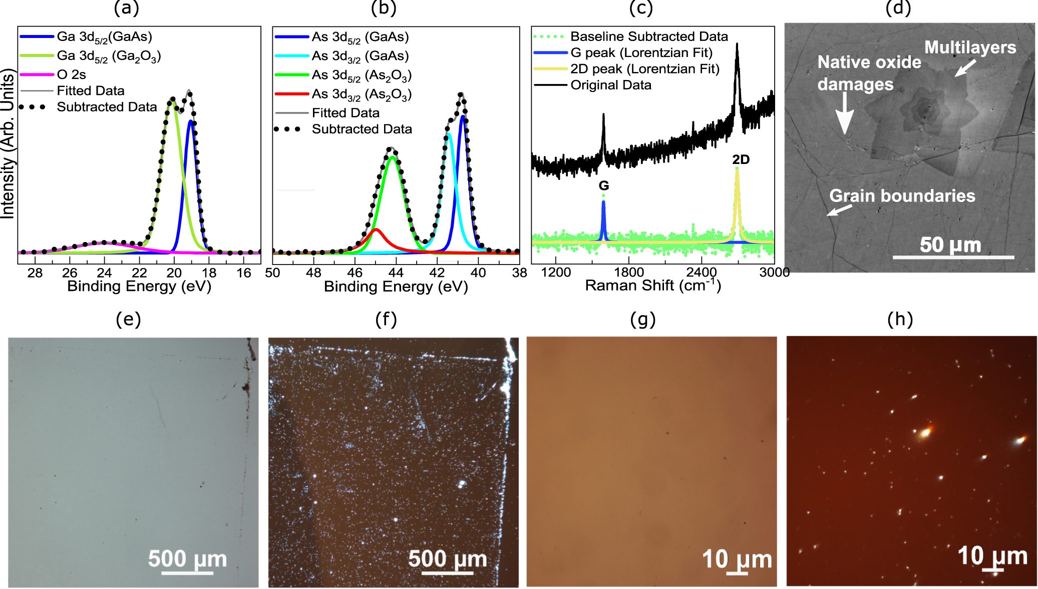 Defect seeded remote epitaxy of GaAs films on graphene - IOPscience