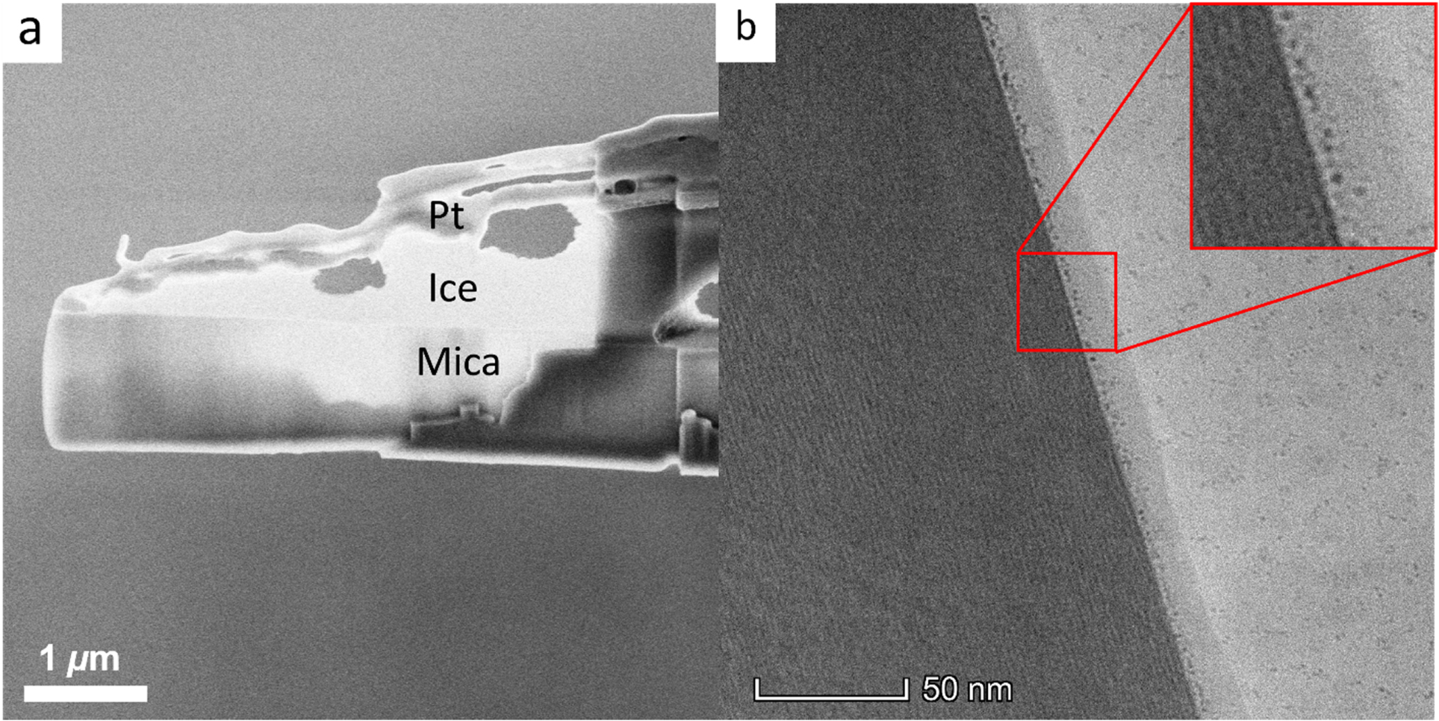 Cryo-FIB for TEM investigation of soft matter and beam sensitive energy ...