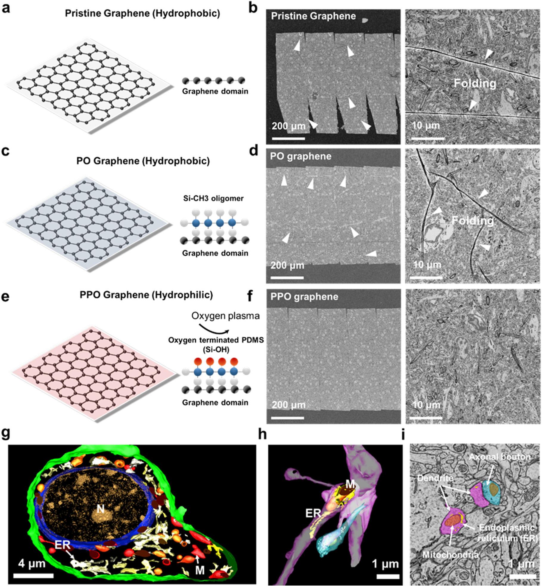 Multifunctional-high resolution imaging plate based on hydrophilic ...
