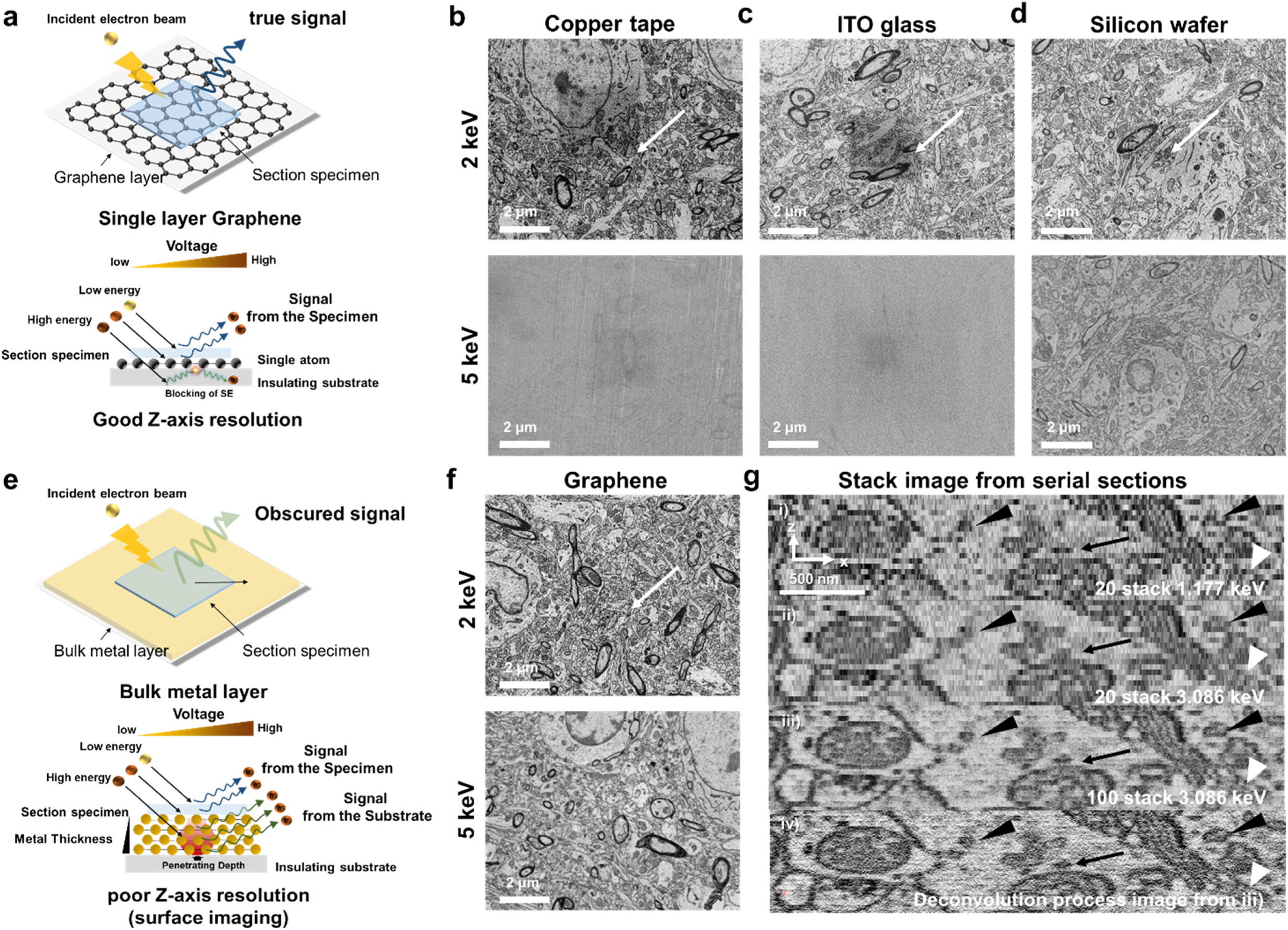 Multifunctional-high resolution imaging plate based on hydrophilic ...