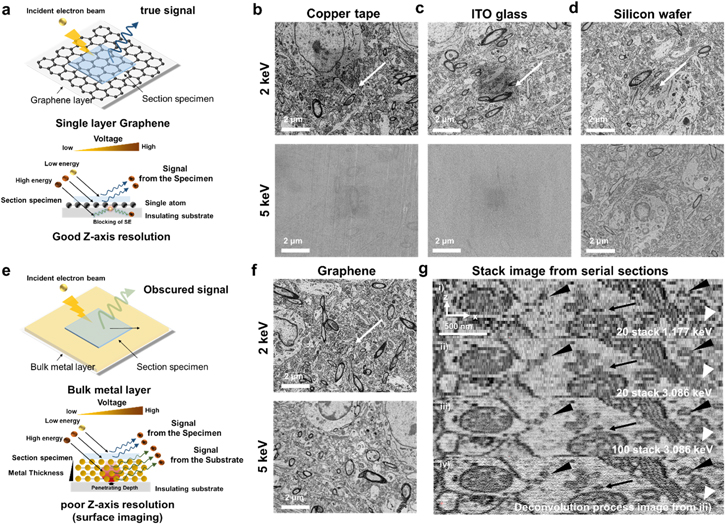 Multifunctional-high resolution imaging plate based on hydrophilic ...