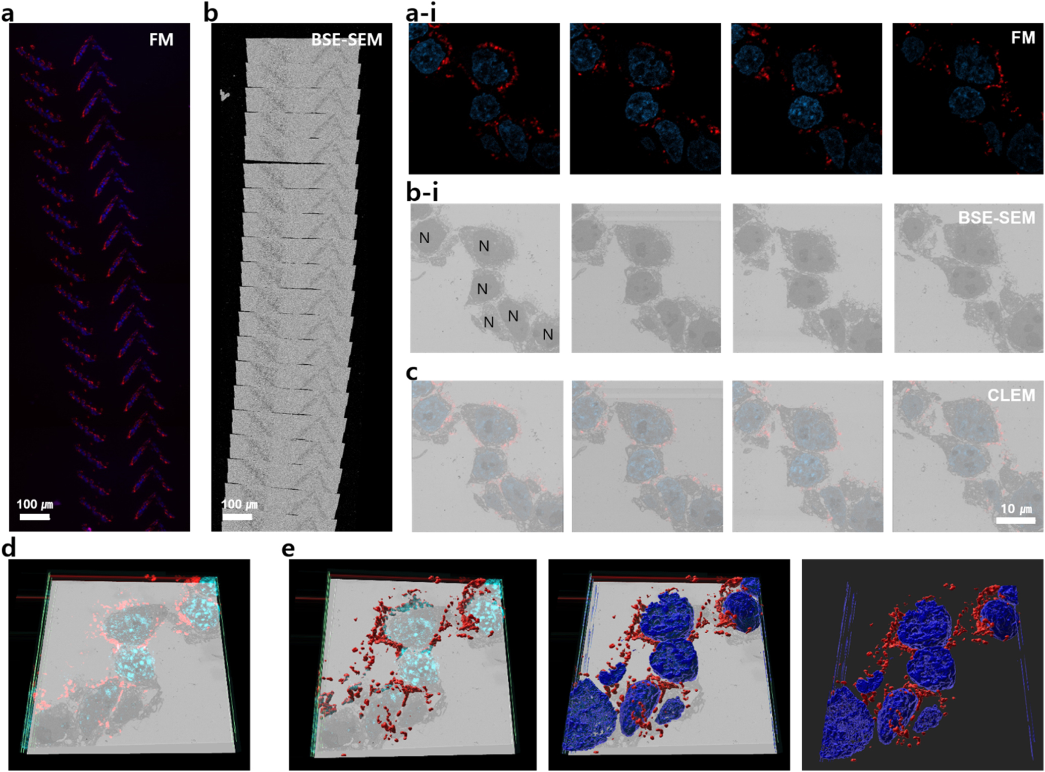 Multifunctional-high resolution imaging plate based on hydrophilic ...