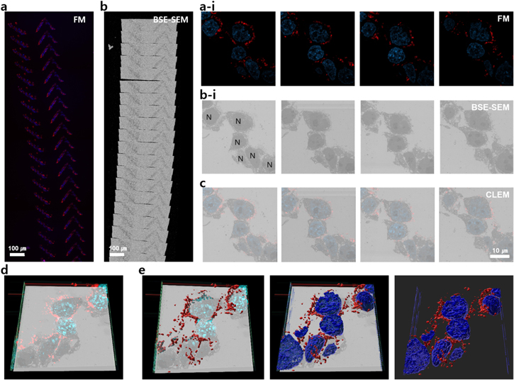 Multifunctional-high resolution imaging plate based on hydrophilic ...