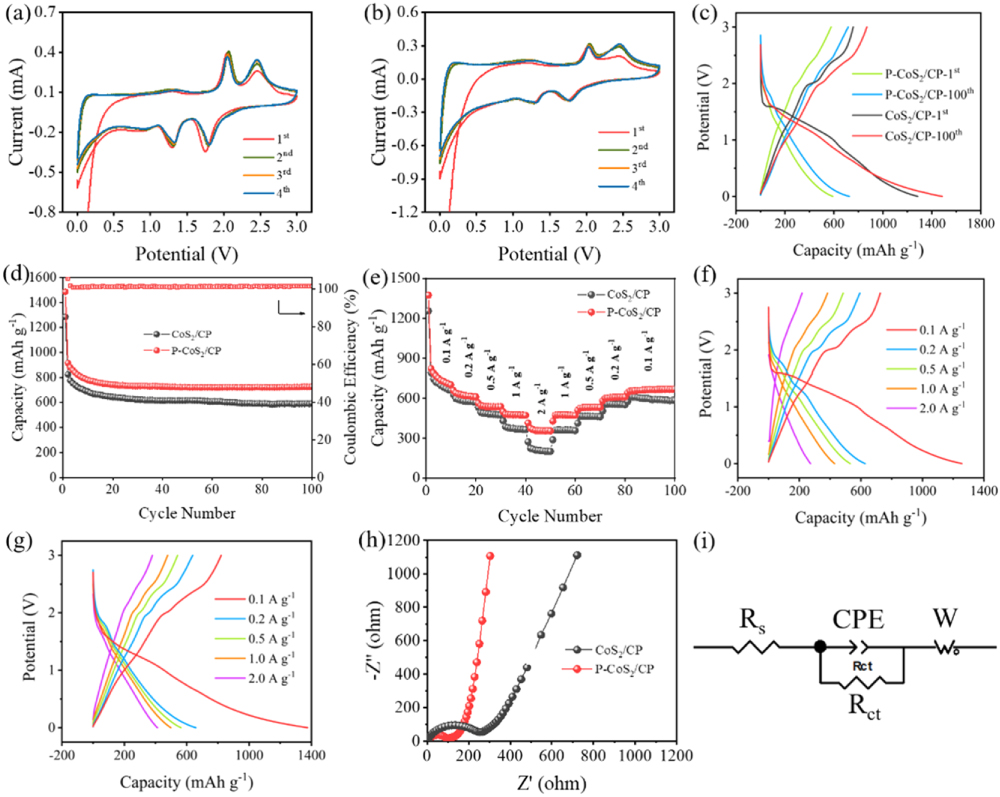 Porous engineering of CoS2/N-doped carbon polyhedra anode for durable ...