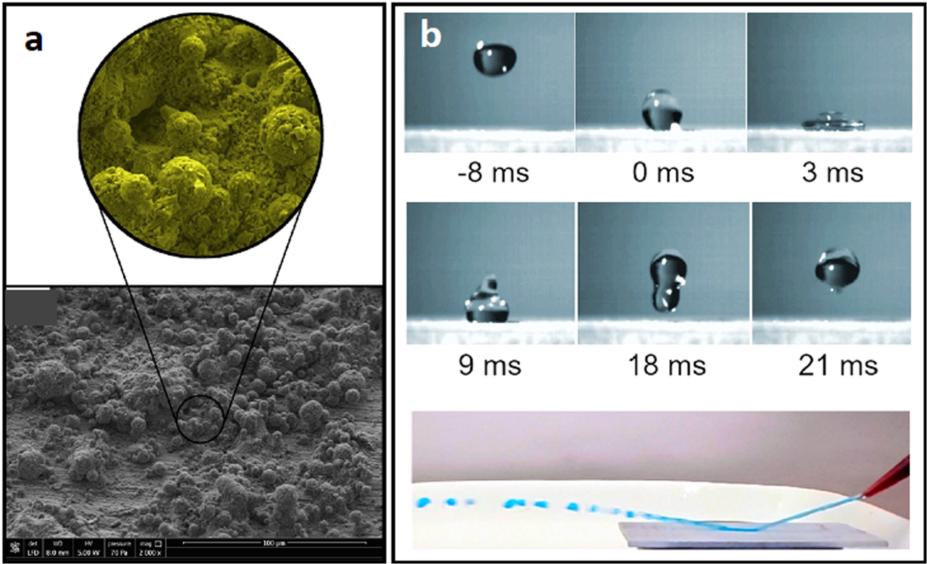Toward nanotechnology-enabled face masks against SARS-CoV-2 and ...