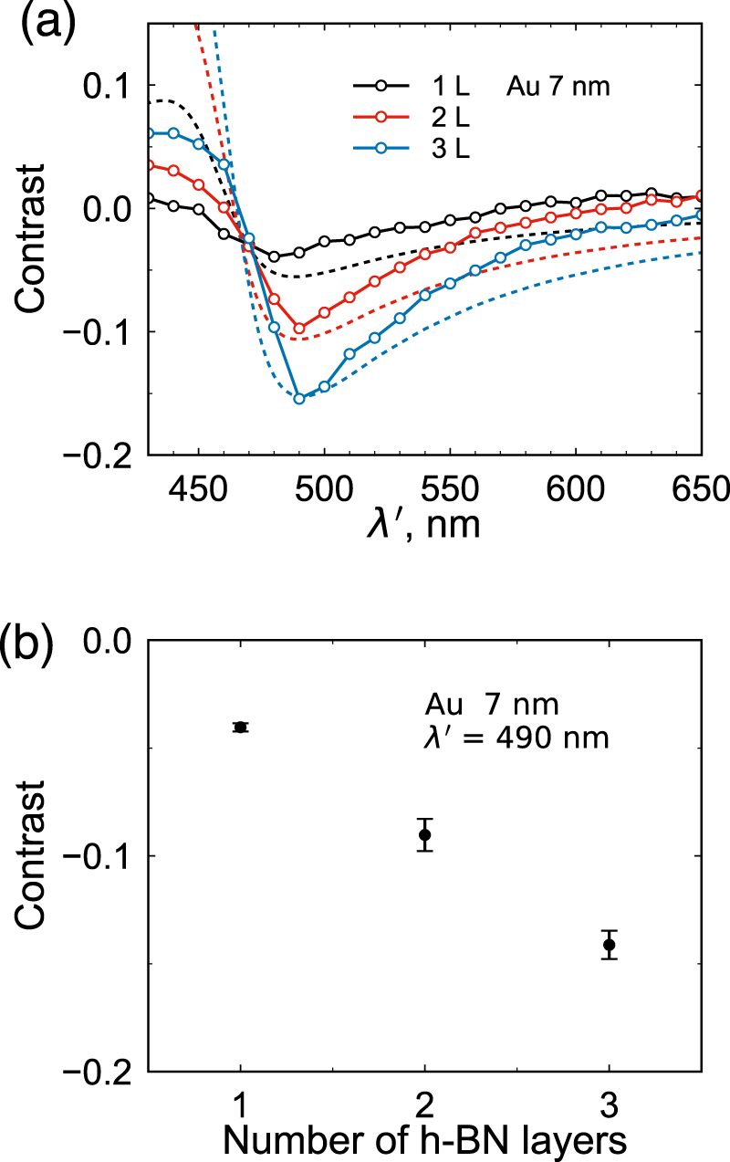 Visualization of a hexagonal boron nitride monolayer on an ultra-thin ...