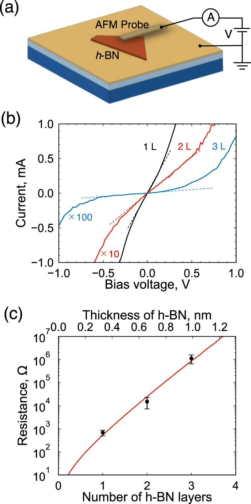 Visualization of a hexagonal boron nitride monolayer on an ultra-thin ...