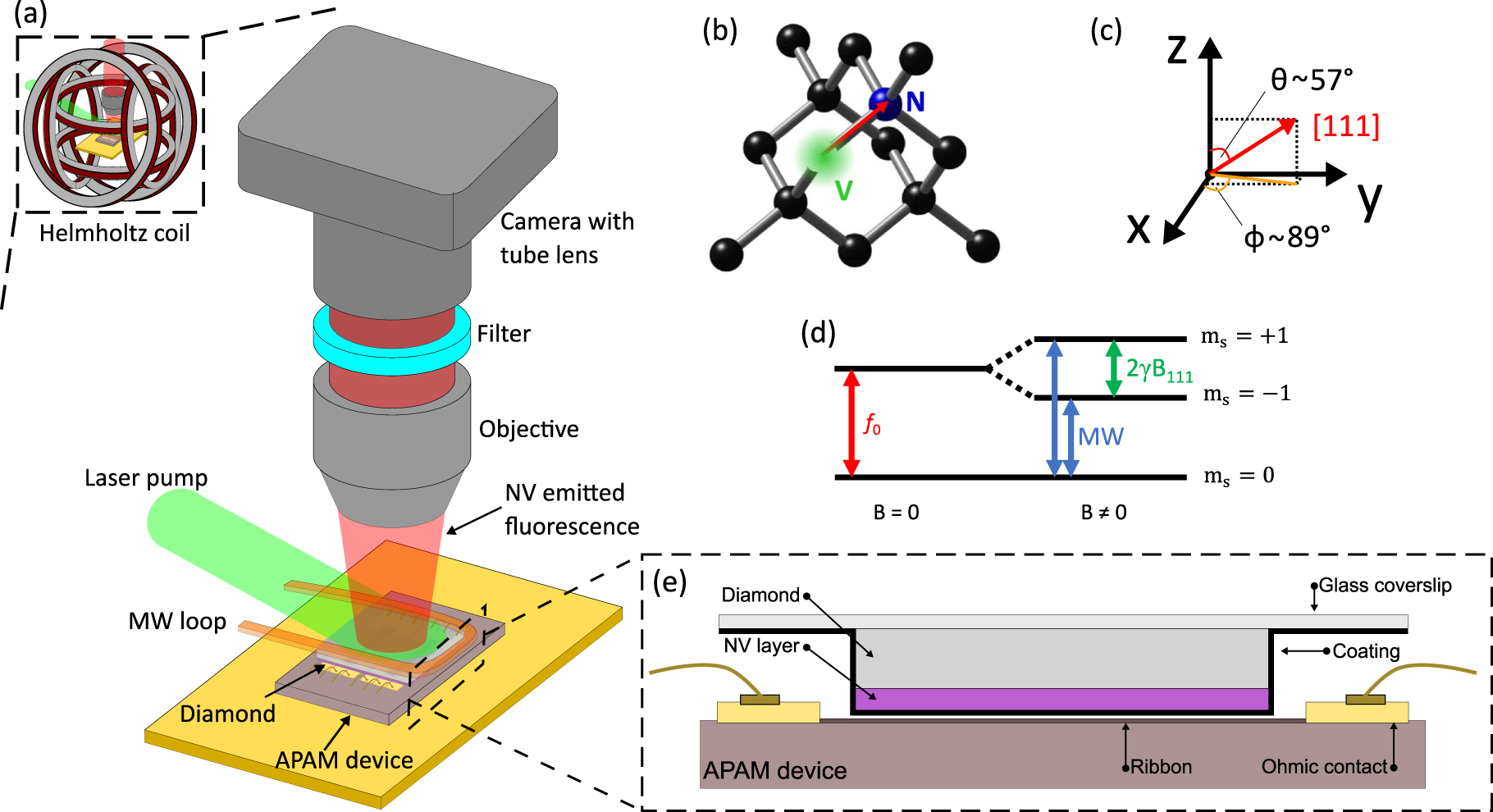 Electric current paths in a Si:P delta-doped device imaged by nitrogen-vacancy diamond magnetic ...