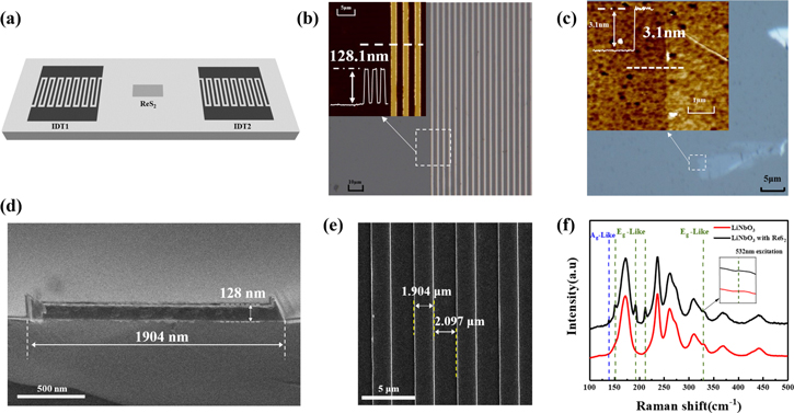 Mechano/acousto-electric coupling between ReS2 and surface acoustic wave - IOPscience
