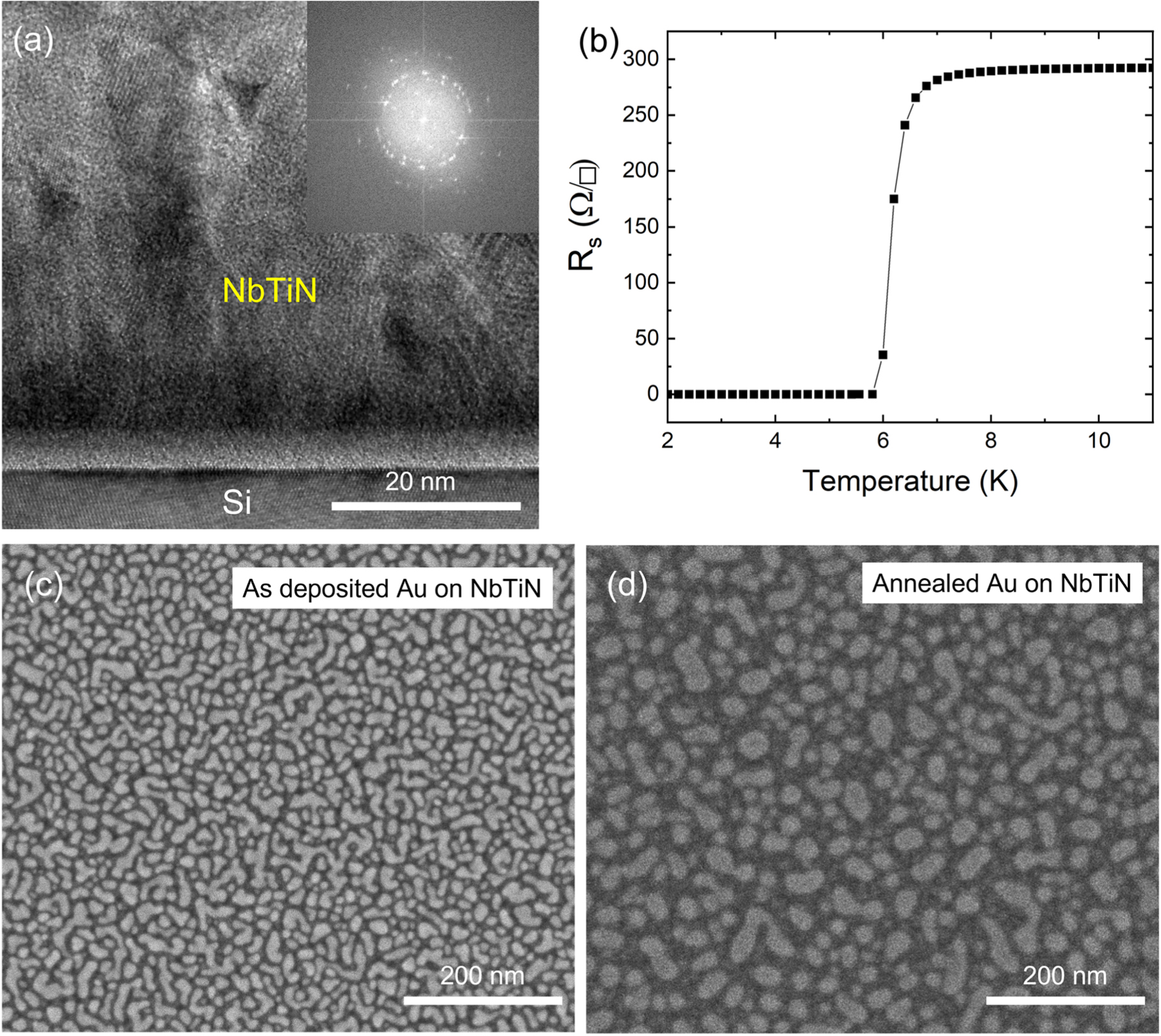Direct growth of crystalline SiGe nanowires on superconducting NbTiN thin films - IOPscience