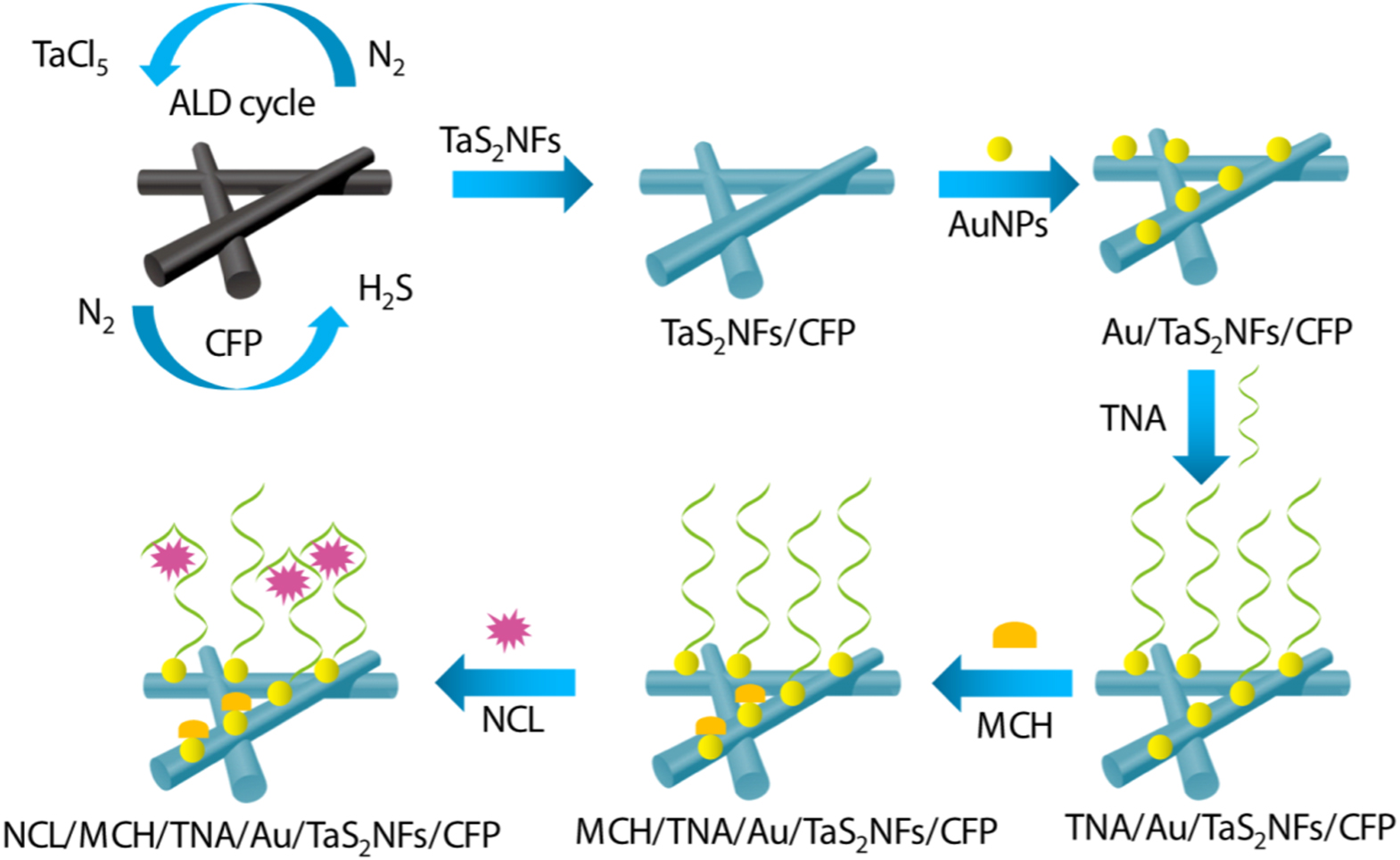 Atomic layer deposition (ALD)-constructed TaS2 nanoflakes for cancer ...