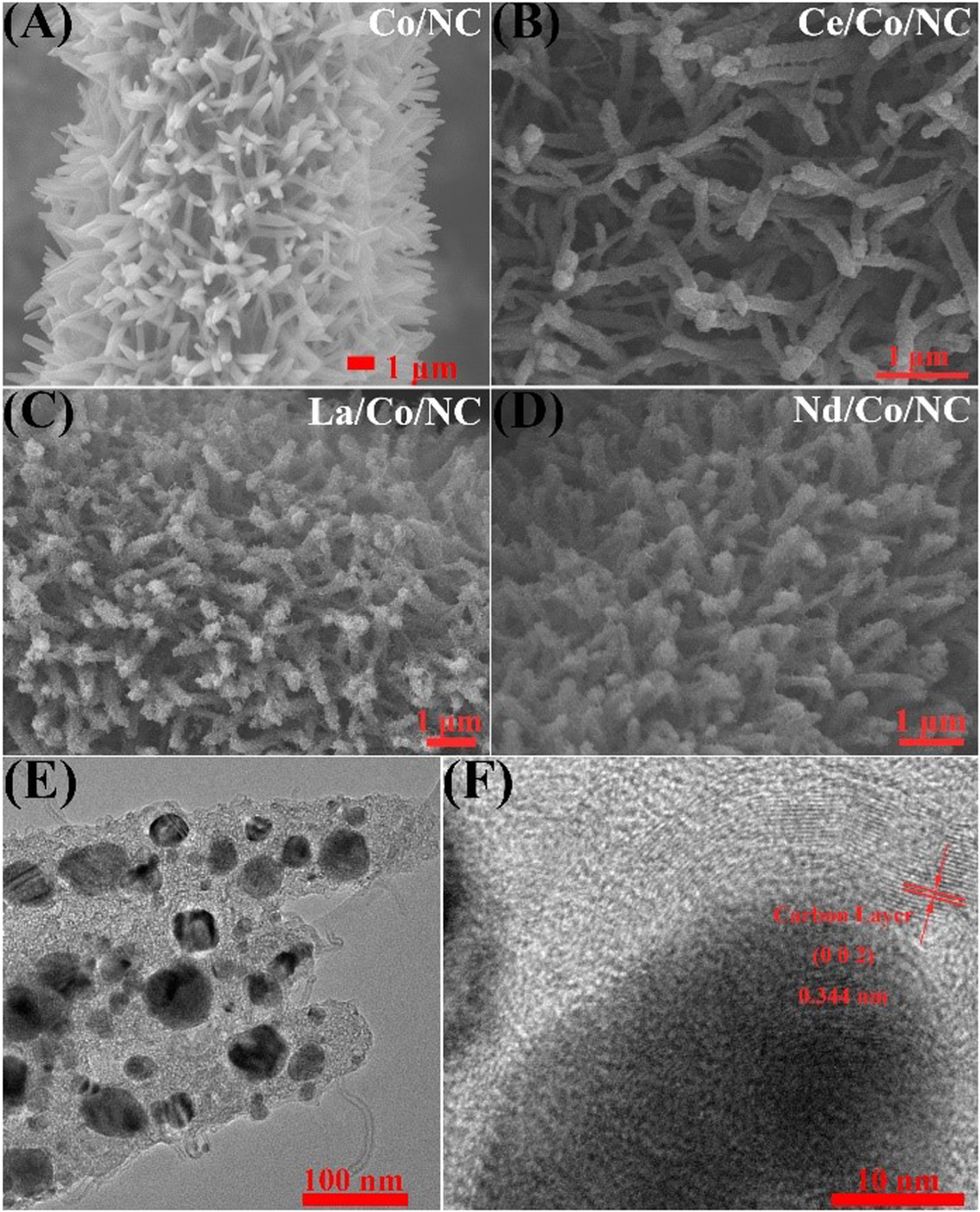 Apparent activity and specific activity of lanthanides (La, Ce, Nd ...