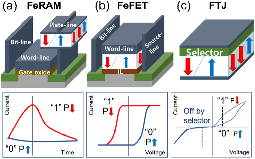 A perspective on the physical scaling down of hafnia-based ...