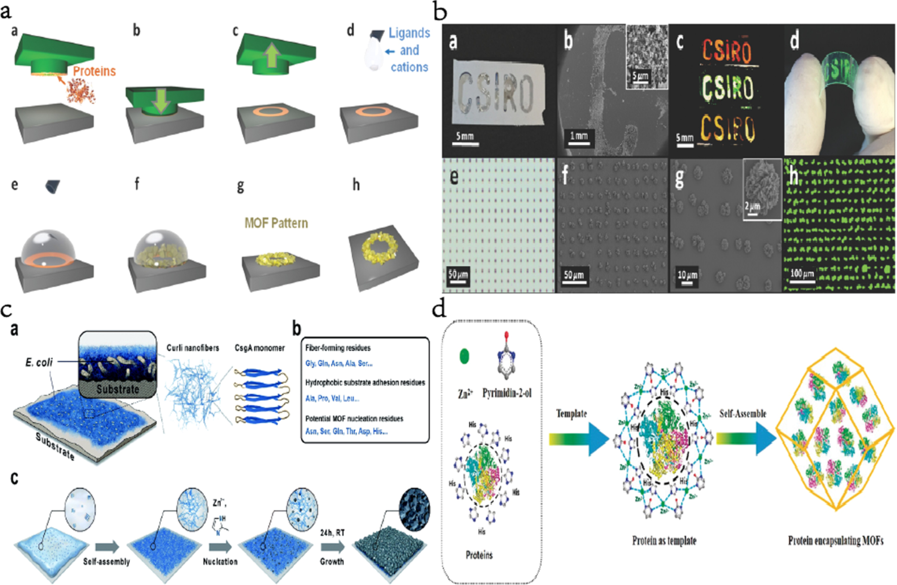 Recent advances in MOF-bio-interface: a review - IOPscience