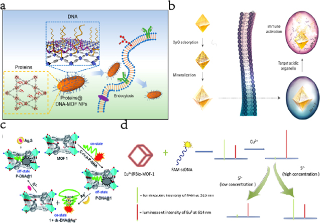 Recent advances in MOF-bio-interface: a review - IOPscience