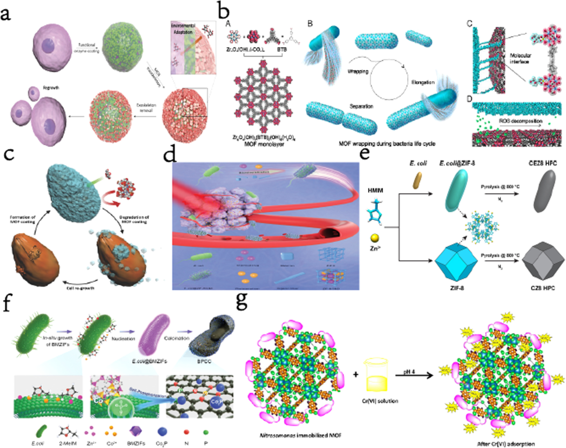 Recent advances in MOF-bio-interface: a review - IOPscience