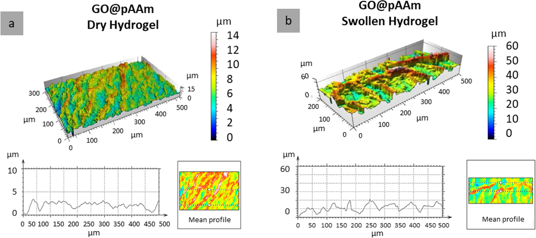 On the design and development of foamed GO-hydrogel nanocomposite ...