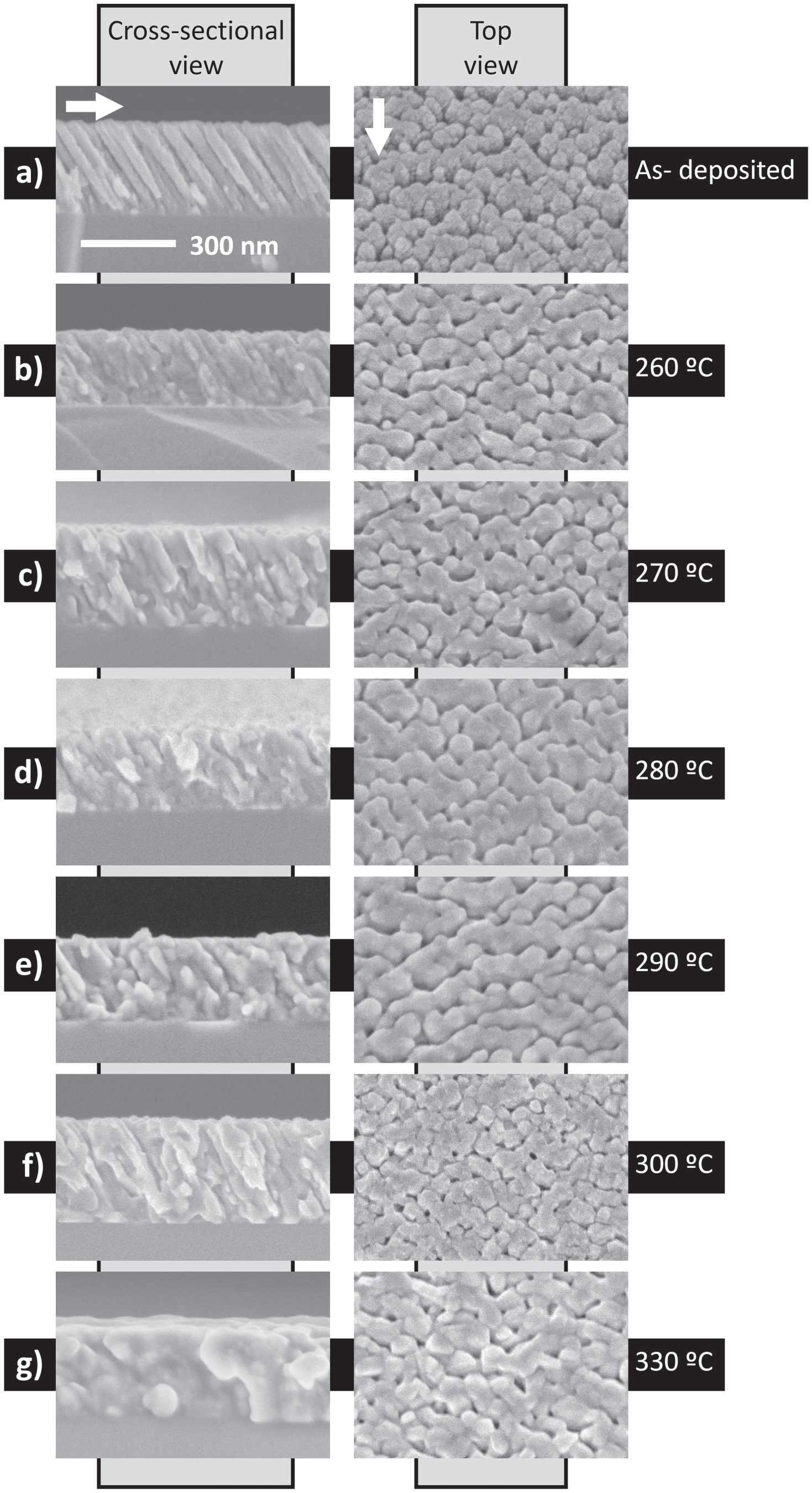 Low temperature nucleation of thermochromic VO2 crystal domains in ...