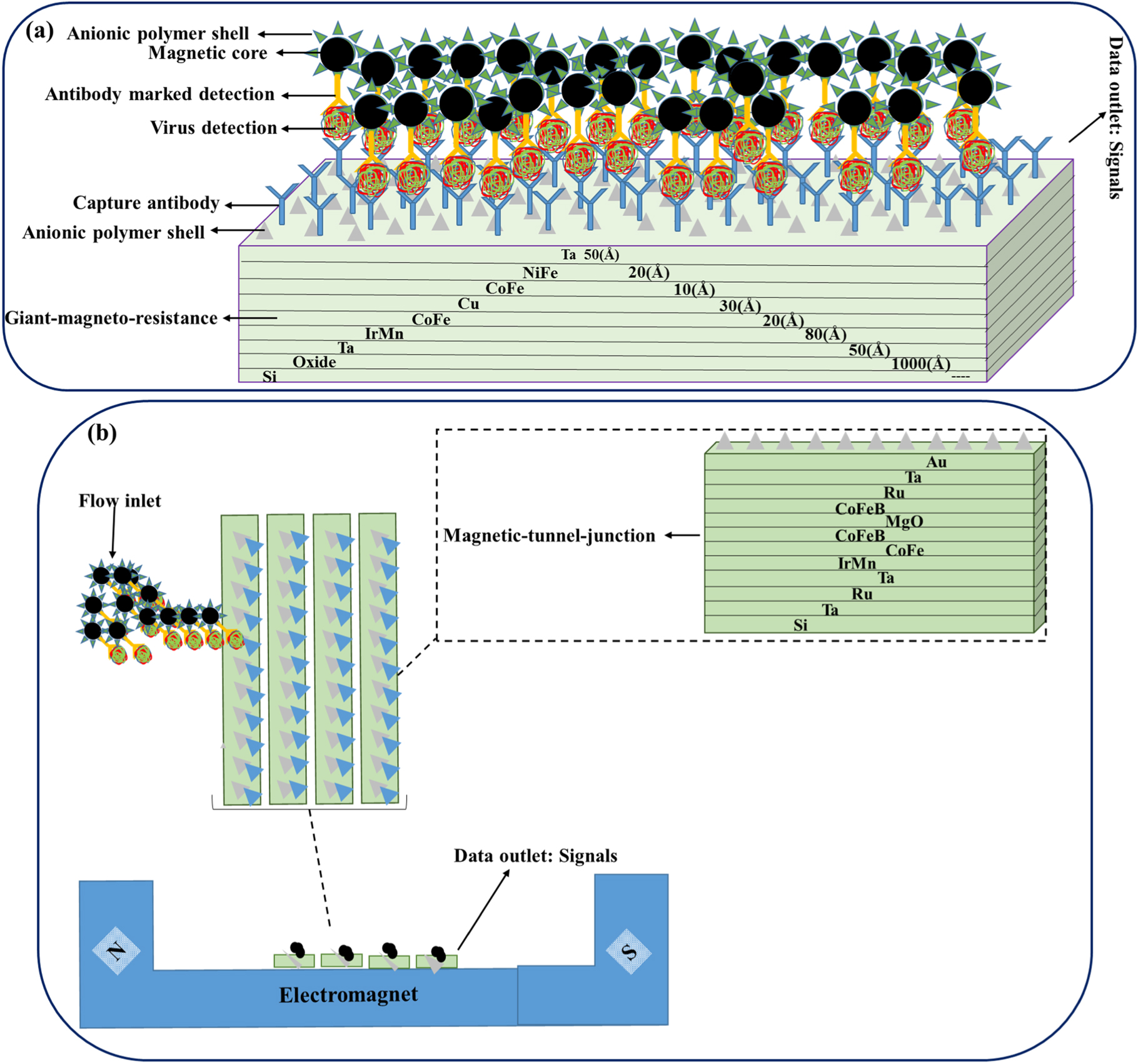 Magnetic biosensors for identification of SARS-CoV-2, Influenza, HIV ...