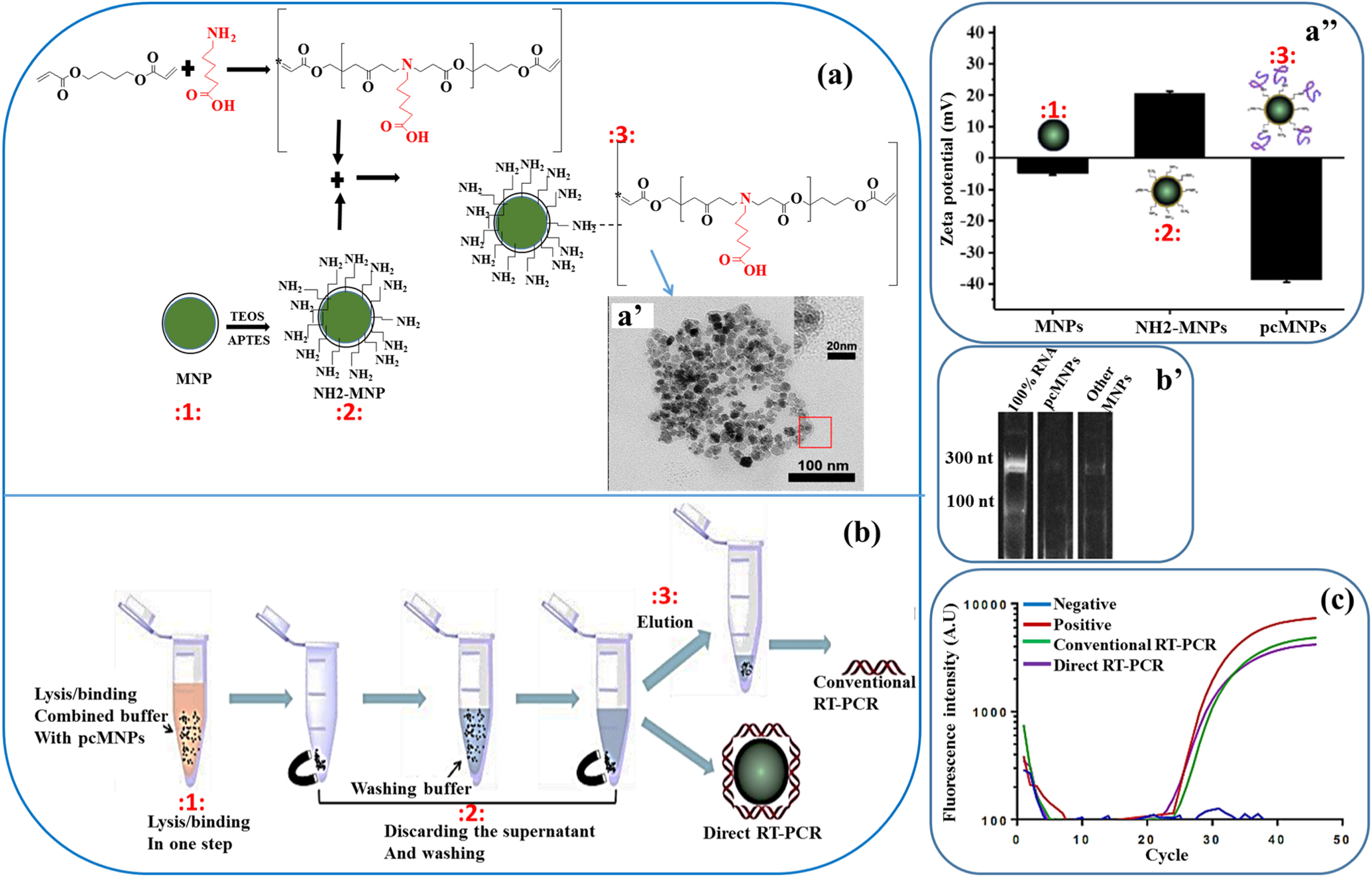 Magnetic biosensors for identification of SARS-CoV-2, Influenza, HIV ...