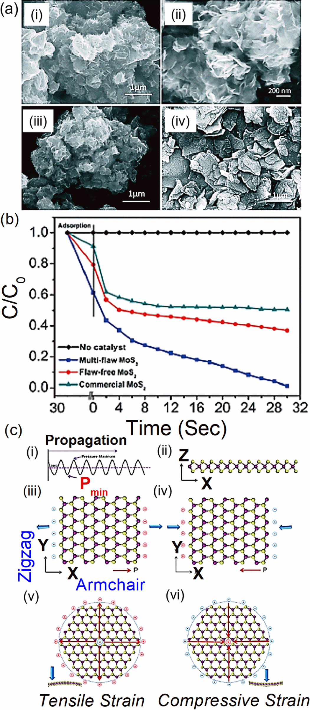 Transition metal dichalcogenides nanomaterials based piezocatalytic ...