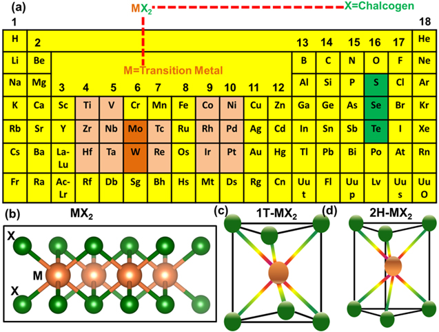 Transition metal dichalcogenides nanomaterials based piezocatalytic ...
