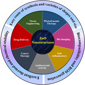 Multifunctional ZnO nanostructures: a next generation nanomedicine for ...
