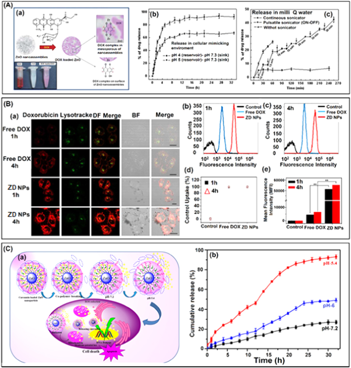 Multifunctional ZnO nanostructures: a next generation nanomedicine for ...