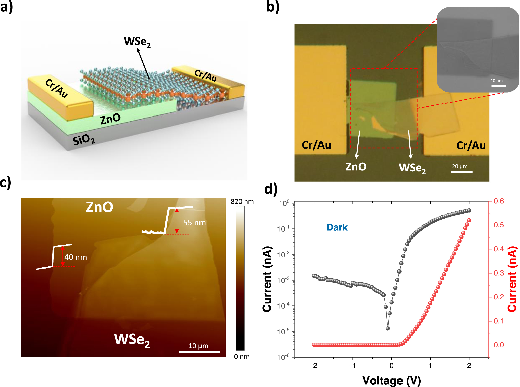 Multilayer WSe2/ZnO heterojunctions for self-powered, broadband, and high-speed photodetectors ...