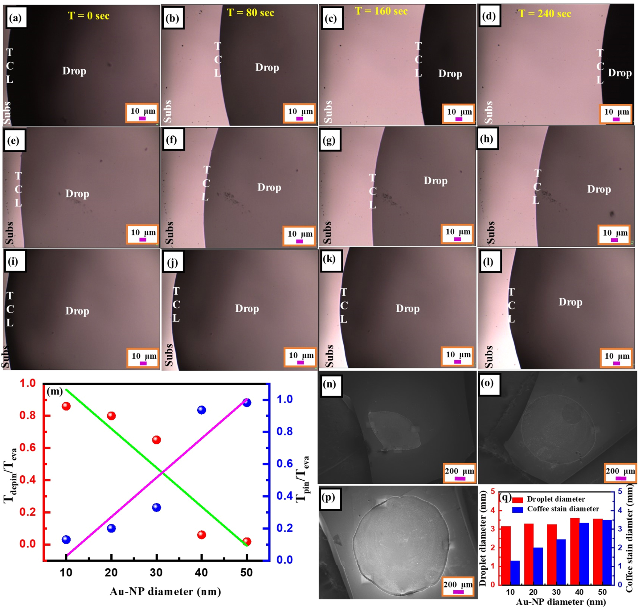 Combined effects of nanoparticle size, and nanoparticle and surfactant ...