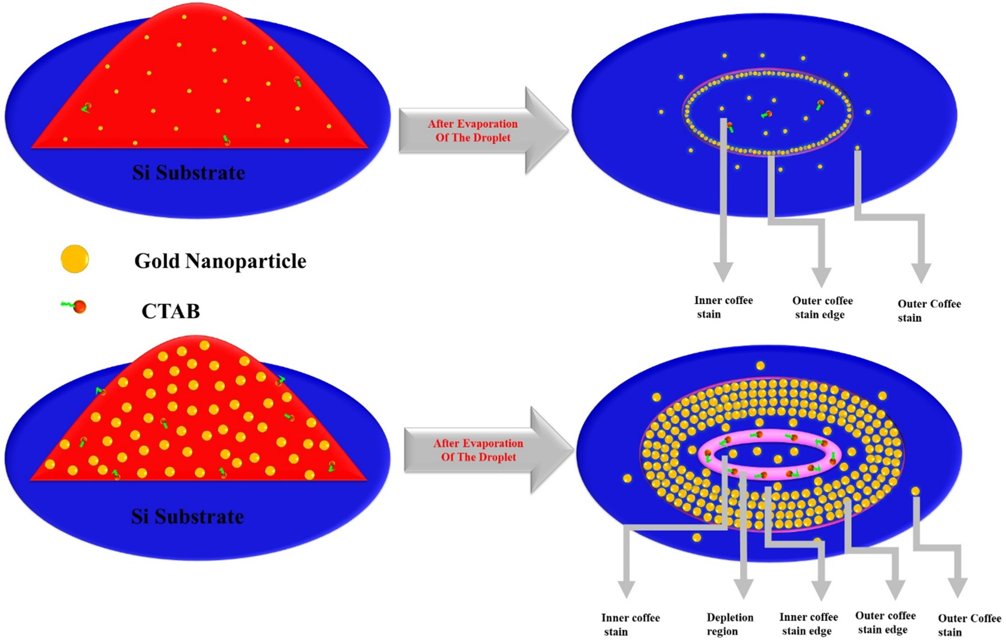 Combined effects of nanoparticle size, and nanoparticle and surfactant ...