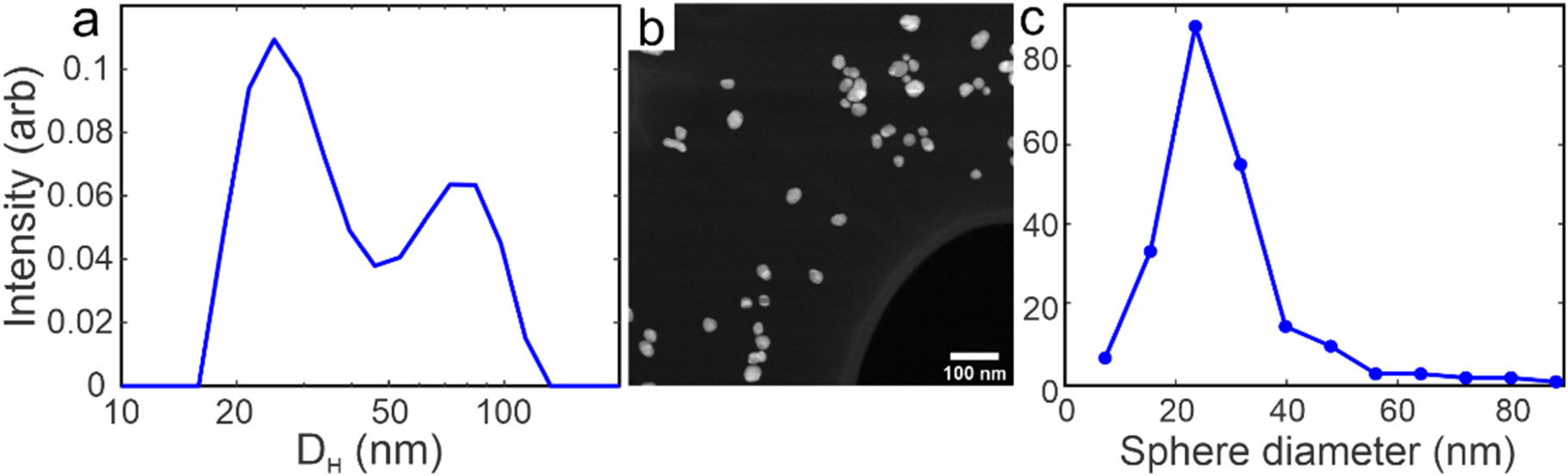Direct visualization of nanoparticle morphology in thermally sintered ...