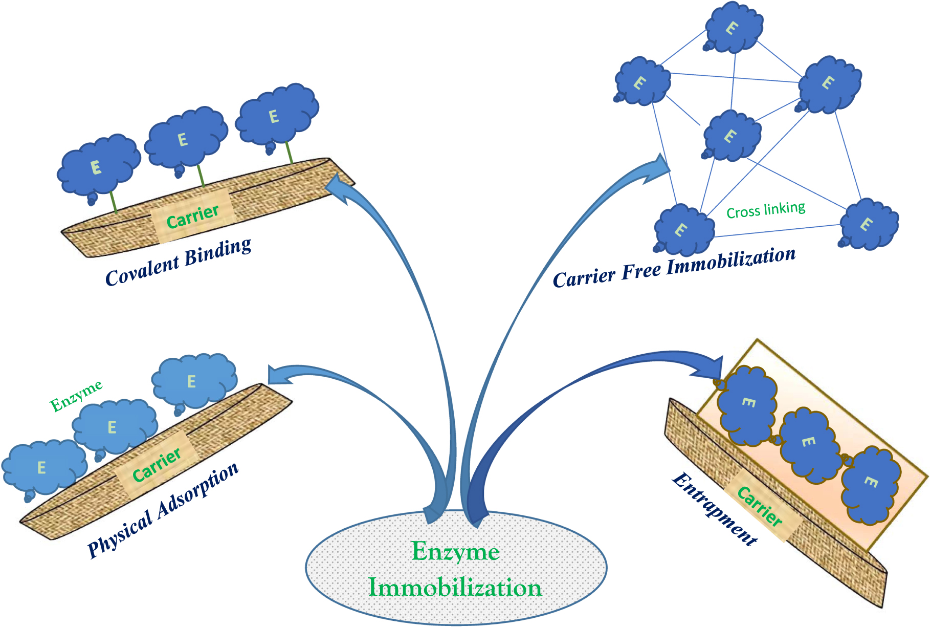 Nanotechnology and enzyme immobilization: a review - IOPscience