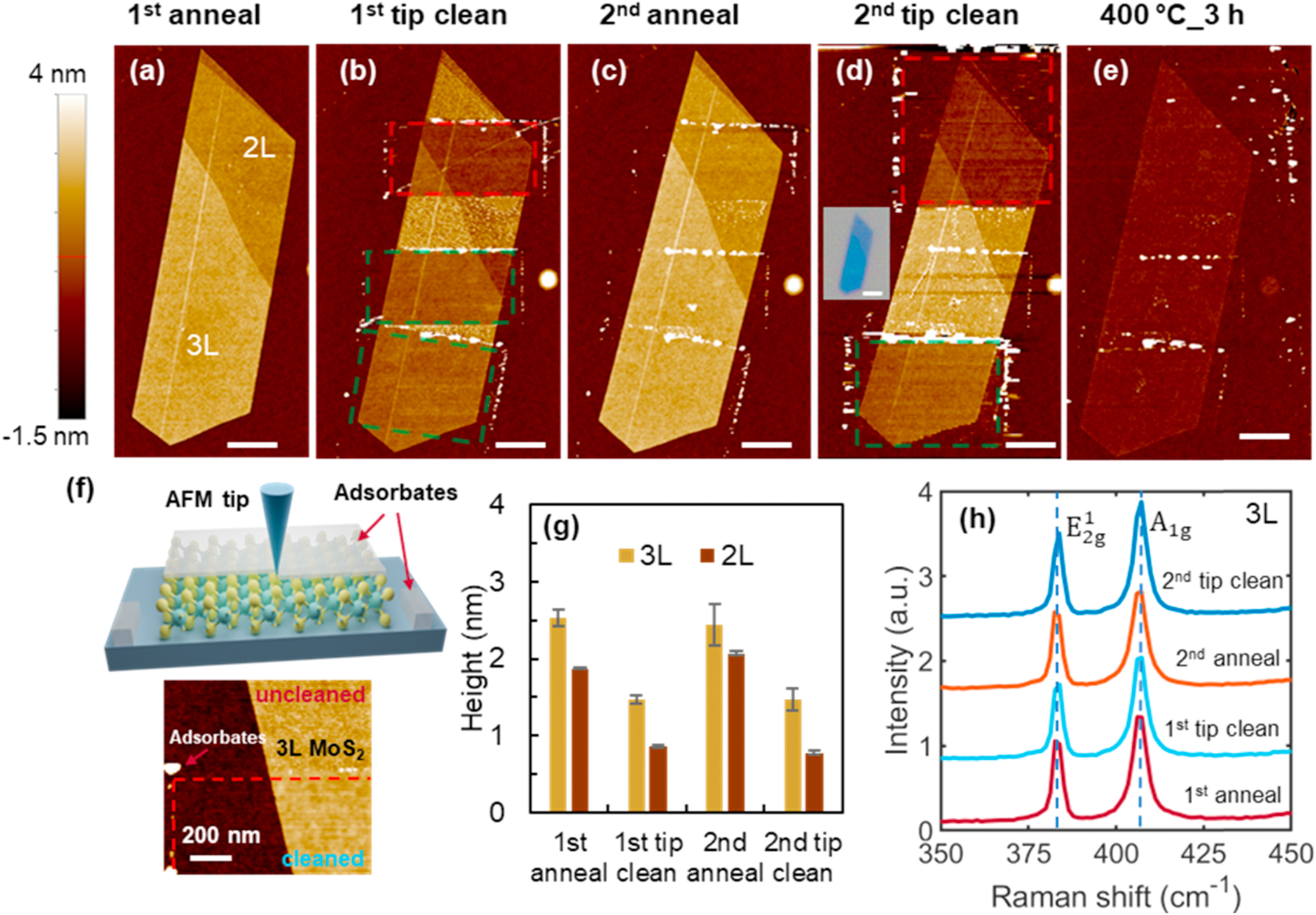 Physical adsorption and oxidation of ultra-thin MoS2 crystals: insights ...