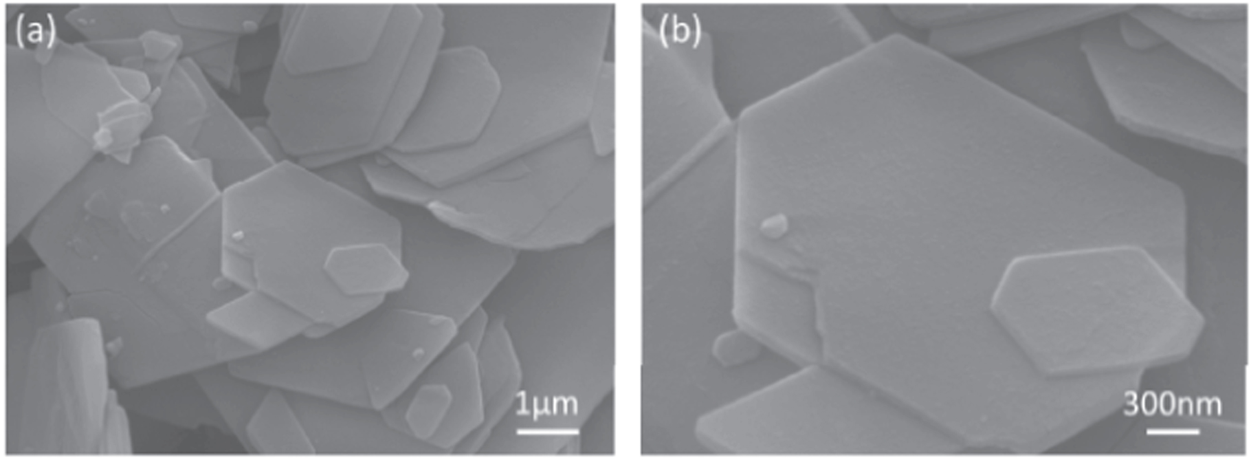 Novel synthetic approach of 2D-metal–organic frameworks (MOF) for ...