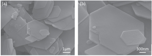 Novel synthetic approach of 2D-metal–organic frameworks (MOF) for ...