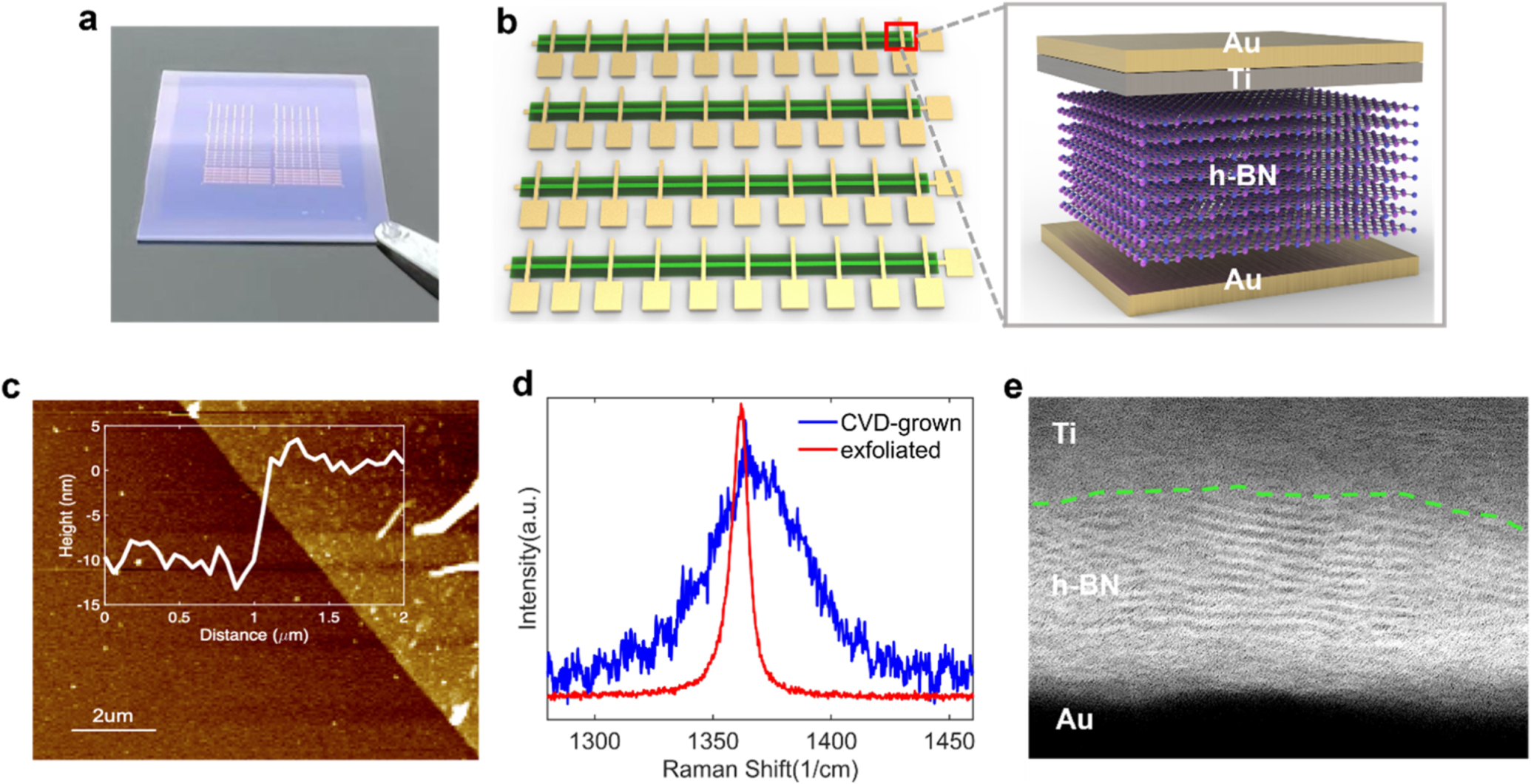 Unsupervised learning in hexagonal boron nitride memristor-based spiking neural networks ...
