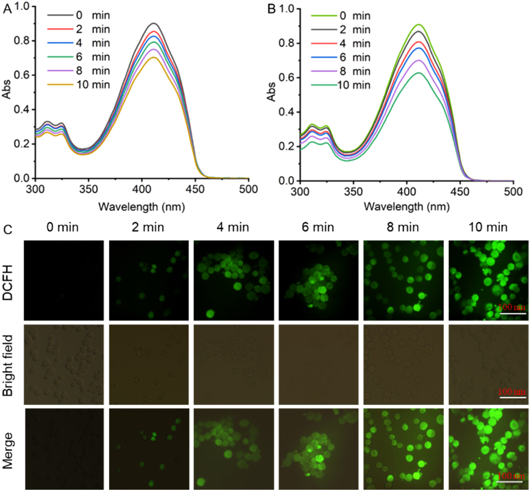 A pH-responsive polymer-coated CaO2 as oxygen-generating nanoparticle ...