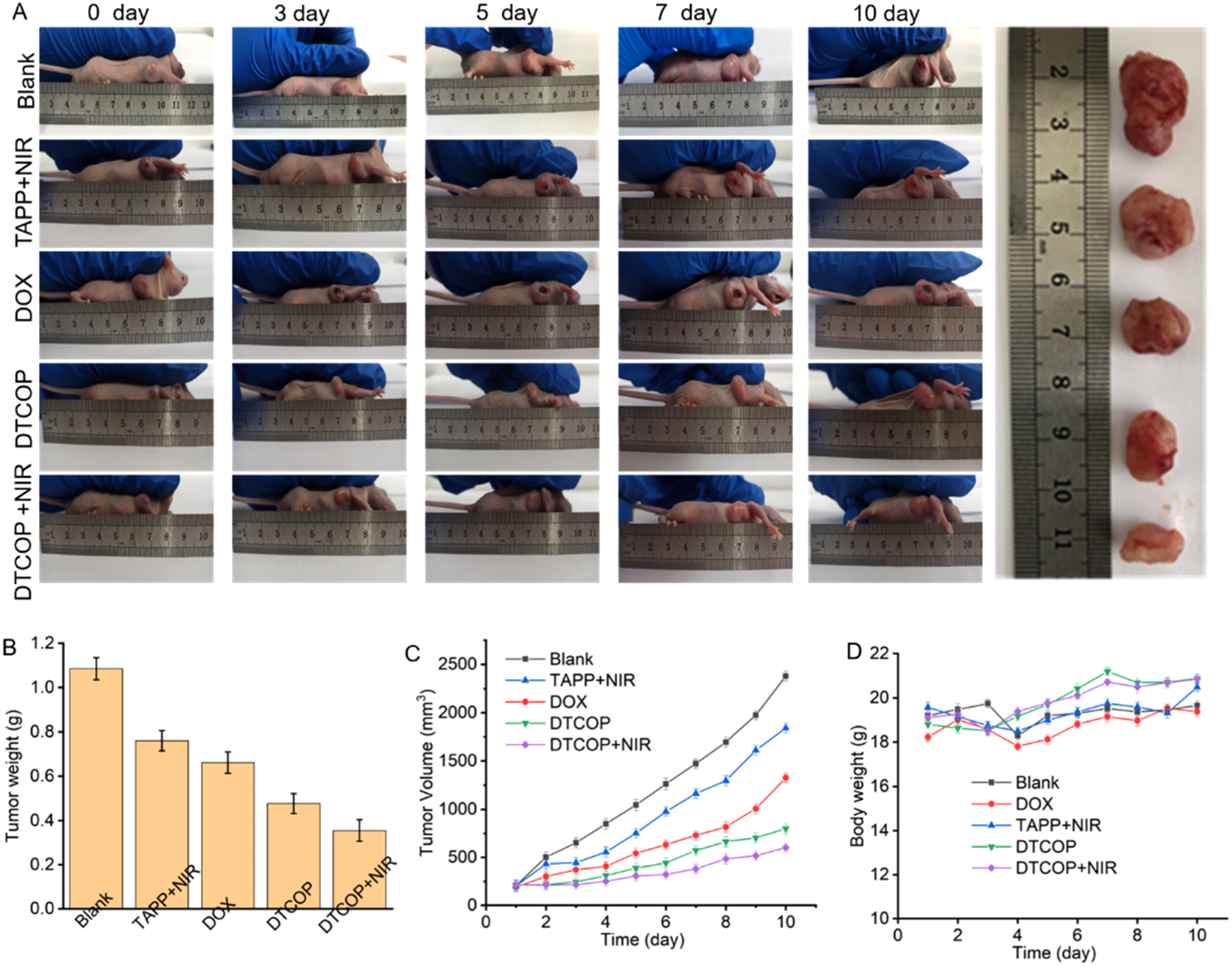 A pH-responsive polymer-coated CaO2 as oxygen-generating nanoparticle ...